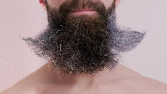 Stoppelbart Bilder – Durchsuchen 67,343 Archivfotos, Vektorgrafiken und ...