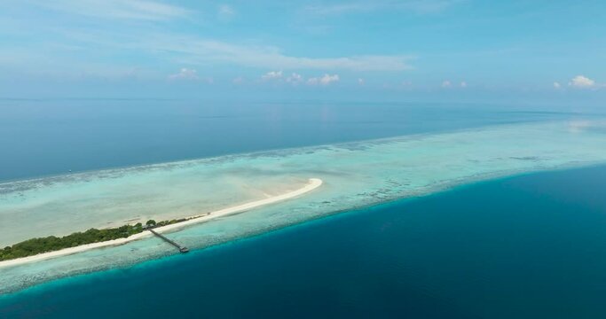 รูปภาพTimba – เลือกดูภาพถ่ายสต็อก เวกเตอร์ และวิดีโอ133 | Adobe Stock