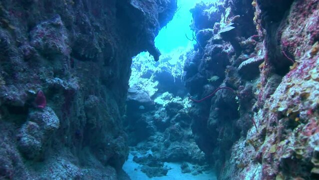 Acidification Images – Browse 3,560 Stock Photos, Vectors, and Video ...