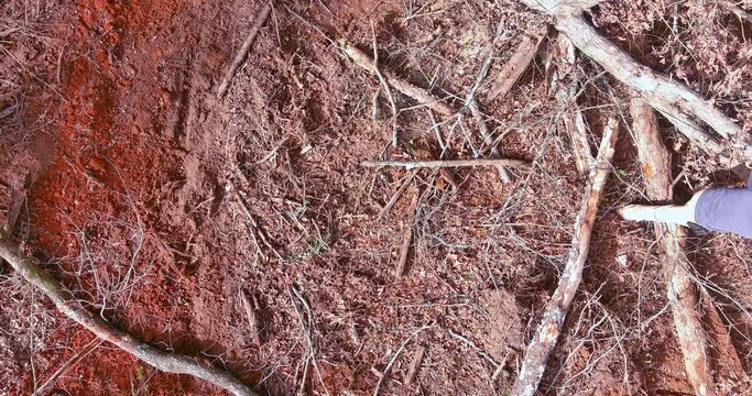 Untrained Images – Browse 535 Stock Photos, Vectors, and Video | Adobe ...