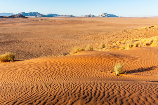 「Cha-Re」の写真素材 | 6件の無料イラスト画像 | Adobe Stock