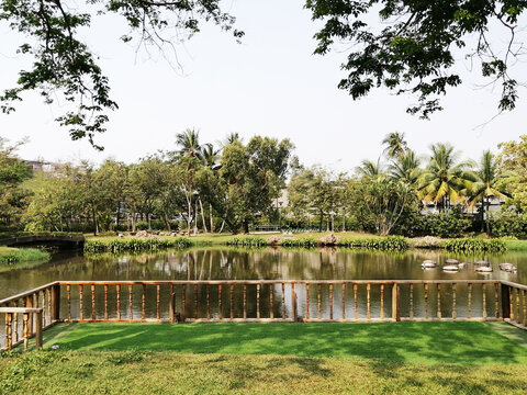 "Linear Park" Images – Browse 501 Stock Photos, Vectors, and Video ...