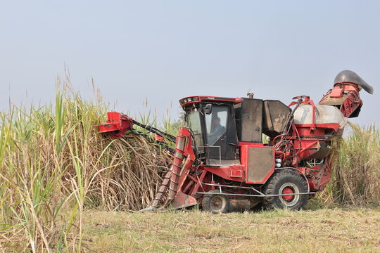 Cane Harvester Images – Browse 1,182 Stock Photos, Vectors, and Video ...