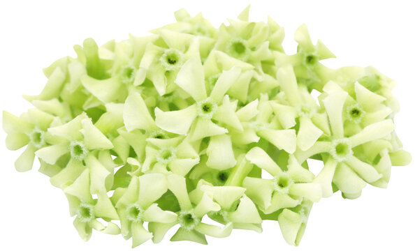 รูปภาพRumdul – เลือกดูภาพถ่ายสต็อก เวกเตอร์ และวิดีโอ499 | Adobe Stock