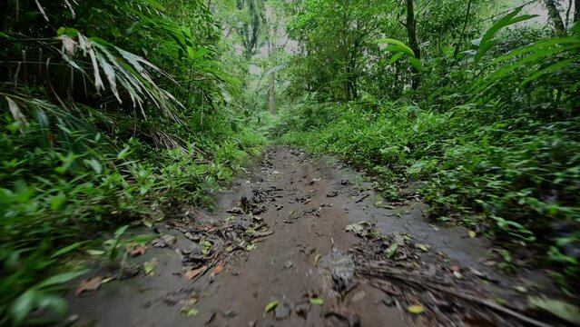 "Equatorial Climate" Imagens – Procure 1,119 fotos, vetores e vídeos | Adobe Stock