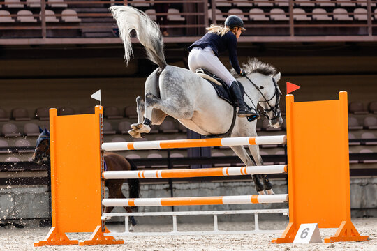 Springreiter Bilder – Durchsuchen 18,576 Archivfotos, Vektorgrafiken ...