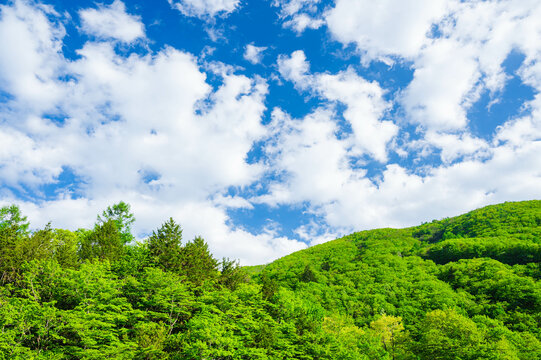 รูปภาพMinesweeper – เลือกดูภาพถ่ายสต็อก เวกเตอร์ และวิดีโอ6,789 | Adobe ...