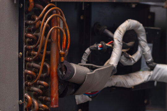 รูปภาพFcu – เลือกดูภาพถ่ายสต็อก เวกเตอร์ และวิดีโอ170 | Adobe Stock