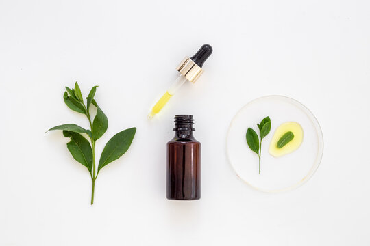 Indispensable Images – Browse 471,581 Stock Photos, Vectors, and Video ...