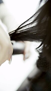 Friser Images – Browse 1,121 Stock Photos, Vectors, and Video | Adobe Stock