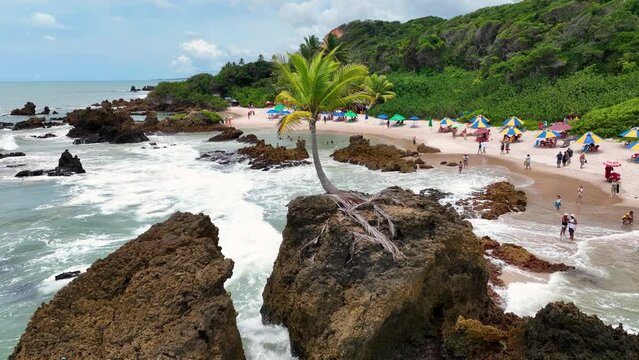 รูปภาพTambaba – เลือกดูภาพถ่ายสต็อก เวกเตอร์ และวิดีโอ151 | Adobe Stock