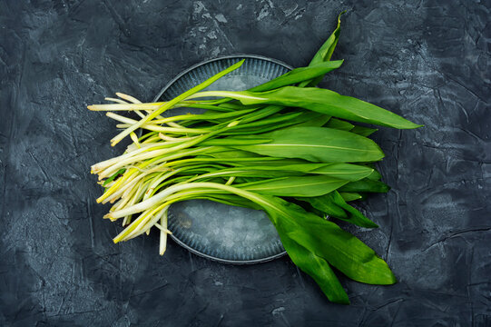 Kurrat bilder – Bläddra bland 2,816 stockfoton, vektorer och videor ...