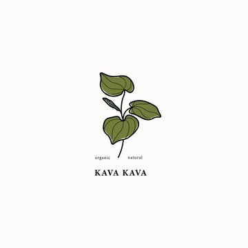 Kava Plant Images – Browse 337 Stock Photos, Vectors, and Video | Adobe ...