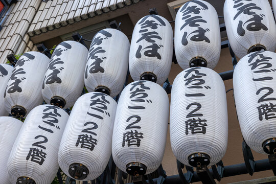 Catamite bilder – Bläddra bland 1,445 stockfoton, vektorer och videor ...