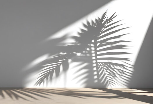 Curve Silhouette Bilder – Durchsuchen 272,486 Archivfotos ...