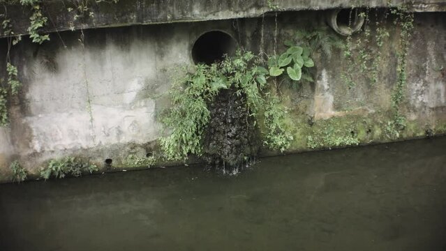 Odora Images – Browse 598 Stock Photos, Vectors, and Video | Adobe Stock