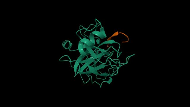 Trypsin Images – Browse 272 Stock Photos, Vectors, and Video | Adobe Stock