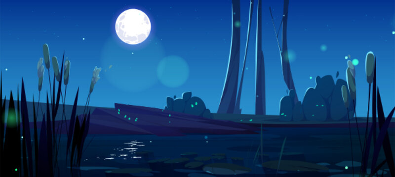 Imágenes de Marsh Night: descubre bancos de fotos, ilustraciones ...