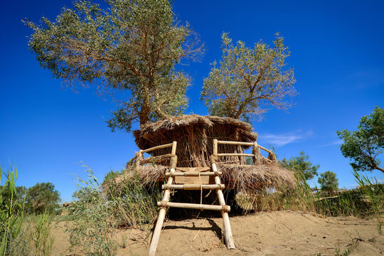 Tarimbecken Bilder – Durchsuchen 337 Archivfotos, Vektorgrafiken und ...