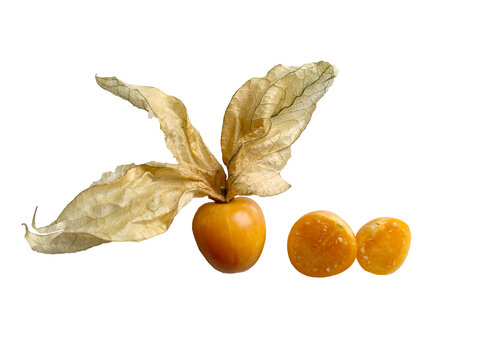 Judenkirsche Bilder – Durchsuchen 43,554 Archivfotos, Vektorgrafiken ...