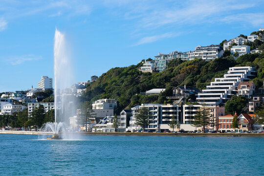"Wellington Harbour" Images – Browse 73 Stock Photos, Vectors, and ...