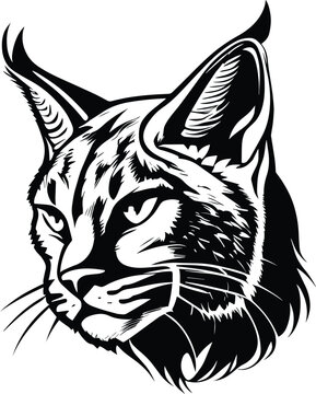 Bobcat Logo Clip Art