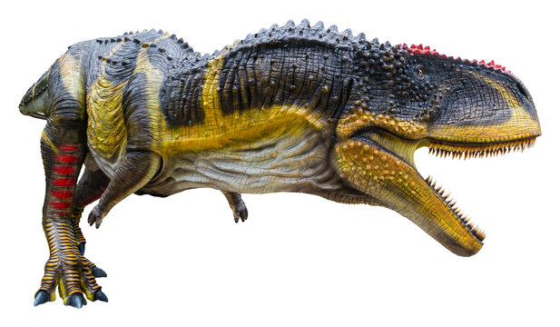 Backgrpund bilder – Bläddra bland 1,080 stockfoton, vektorer och videor ...