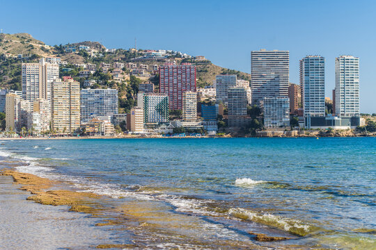 รูปภาพLlevant – เลือกดูภาพถ่ายสต็อก เวกเตอร์ และวิดีโอ1,704 | Adobe Stock