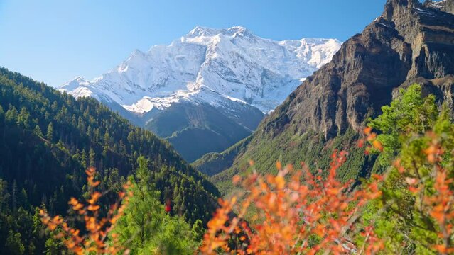 รูปภาพHimalayas – เลือกดูภาพถ่ายสต็อก เวกเตอร์ และวิดีโอ164,048 | Adobe ...