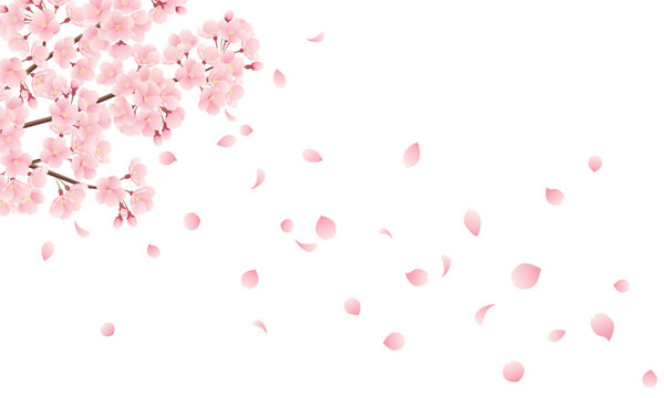 「桜散る」の写真素材 15710件の無料イラスト画像 Adobe Stock