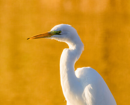 Erget-Bilder: Stock-Fotos & -Videos. | Adobe Stock