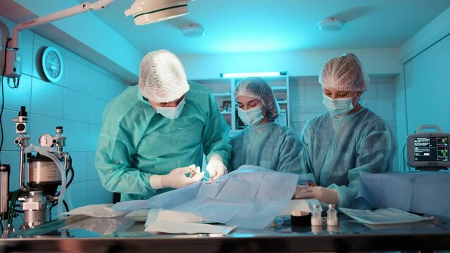 Gonadectomy Images – Browse 4,799 Stock Photos, Vectors, and Video ...