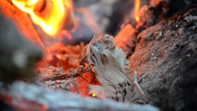 "White Ash" Images – Browse 736 Stock Photos, Vectors, and Video ...