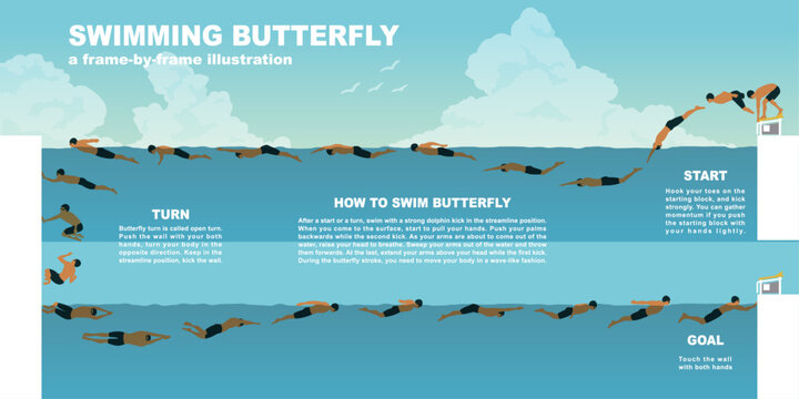 Butterfly Stroke Diagram