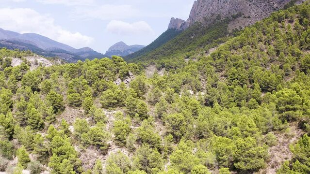 Castellets bilder – Bläddra bland 57 stockfoton, vektorer och videor ...