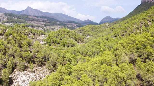 Castellets bilder – Bläddra bland 57 stockfoton, vektorer och videor ...