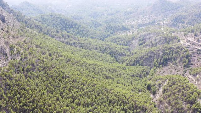 Castellets bilder – Bläddra bland 57 stockfoton, vektorer och videor ...