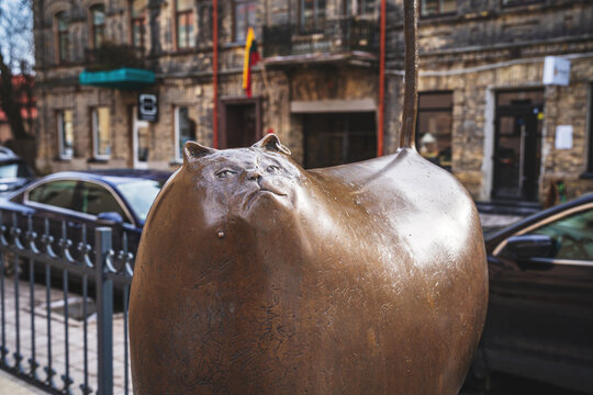 รูปภาพUzupio – เลือกดูภาพถ่ายสต็อก เวกเตอร์ และวิดีโอ234 | Adobe Stock