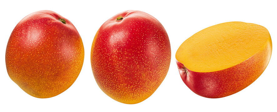 รูปภาพ"Trio – เลือกดูภาพถ่ายสต็อก เวกเตอร์ และวิดีโอ34,382 | Adobe Stock