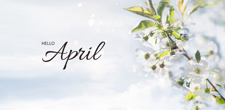 "Hello April" Images – Browse 1,330 Stock Photos, Vectors, and Video ...