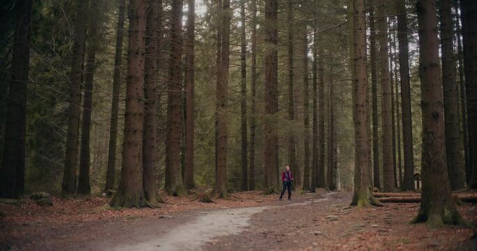 Wanderstab Bilder – Durchsuchen 32,640 Archivfotos, Vektorgrafiken und ...