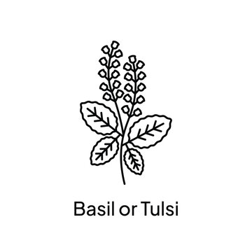 Tulsi Leaves Icon Images – Browse 560 Stock Photos, Vectors, and Video ...