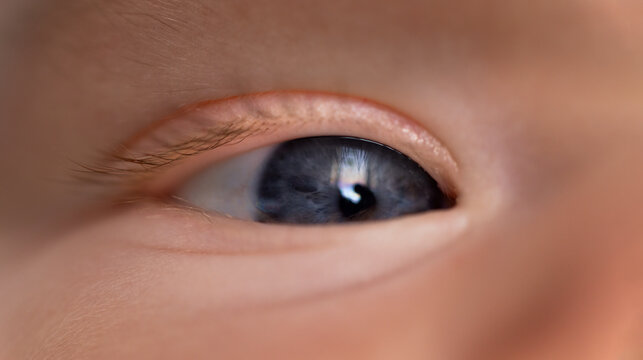 Baby-Blue-Eyes Images – Browse 2,848 Stock Photos, Vectors, and Video ...