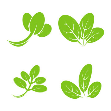 Kanikkonna Bilder – Durchsuchen 10,570 Archivfotos, Vektorgrafiken und ...