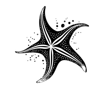 Black Starfish Vector