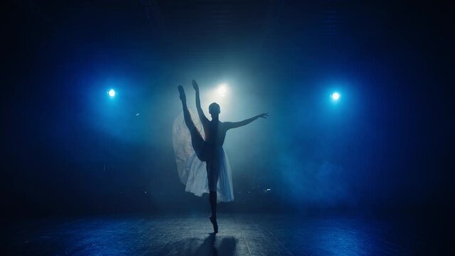 Ballet Pointe Images – Browse 51,468 Stock Photos, Vectors, and Video ...