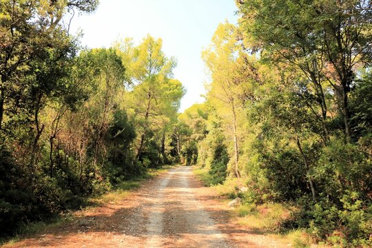 "Old Town Rab" Images – Browse 107 Stock Photos, Vectors, and Video ...