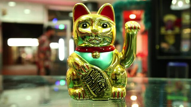 "Chinese Cat" Images – Browse 280 Stock Photos, Vectors, and Video ...