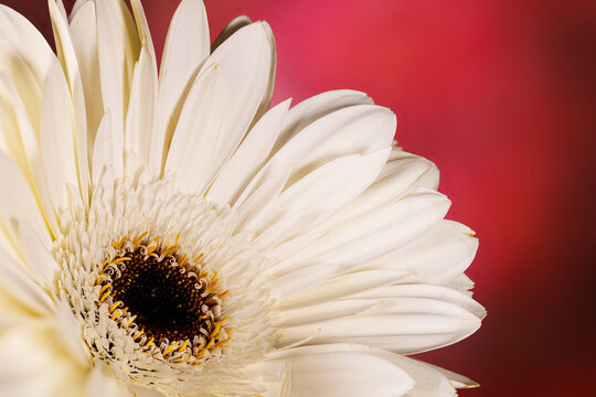 Ferbera Images – Browse 12 Stock Photos, Vectors, and Video | Adobe Stock