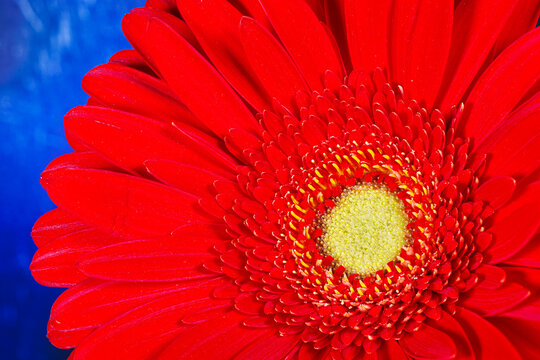 Ferbera Images – Browse 12 Stock Photos, Vectors, and Video | Adobe Stock